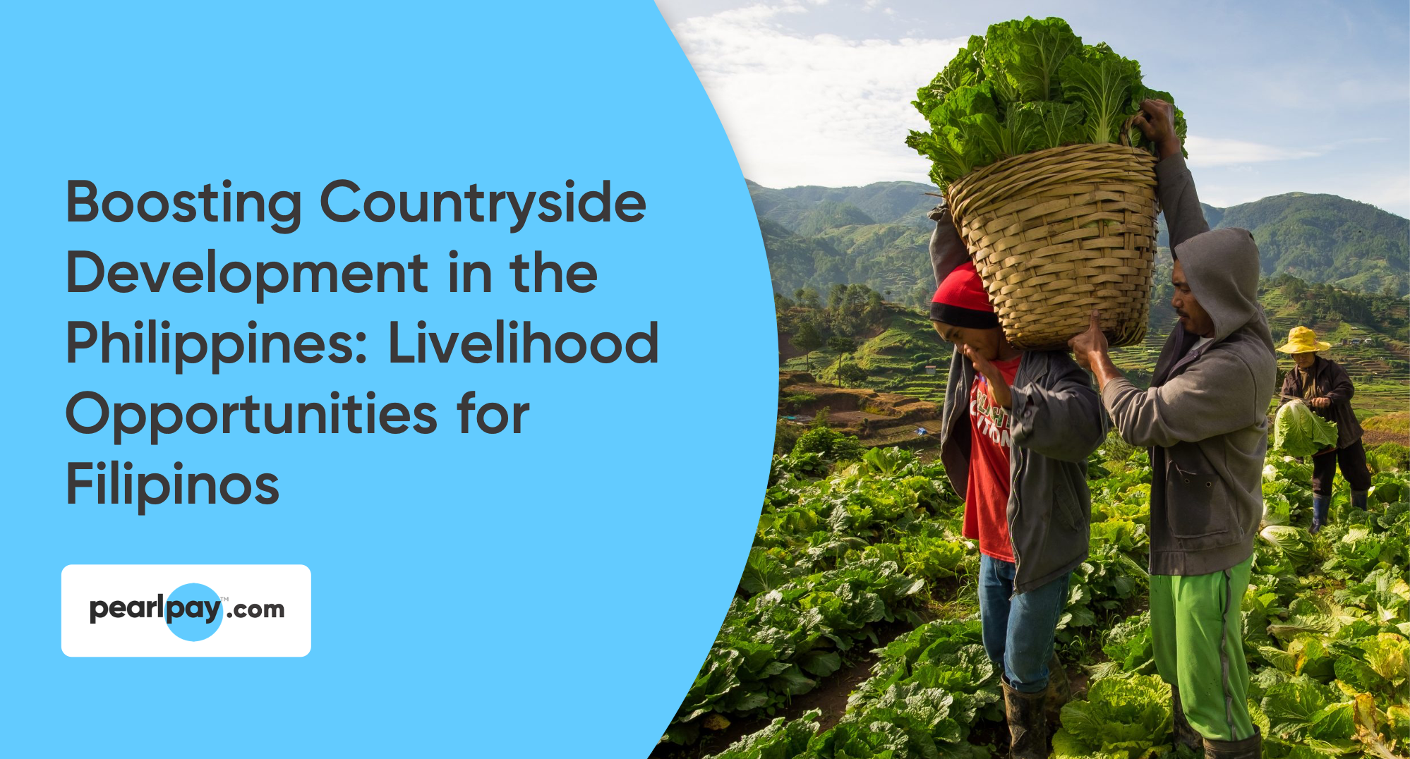 Boosting Countryside Development in the Philippines: Livelihood ...